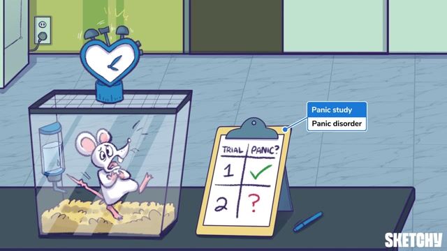 Anxiety Disorders - Free Sketchy MCAT Lesson