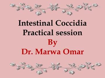 Intestinal Coccidia Practical Session | Encyclopedia MDPI
