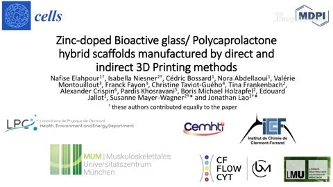 Zinc-Doped Bioactive Glass/Polycaprolactone Hybrid Scaffolds for Bone Regeneration ...