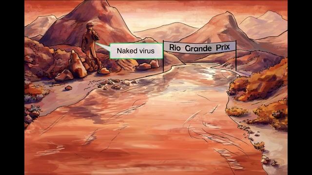 Rotavirus, Colorado tick fever virus (Reoviridae) - Free Sketchy ...