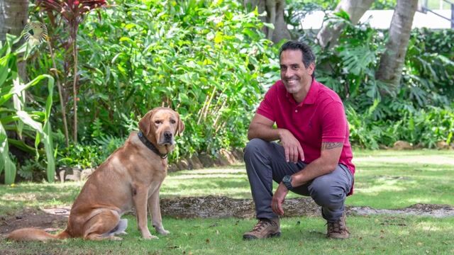 The Pros and Cons of Using an E-Collar | The Beacon Dog Academy