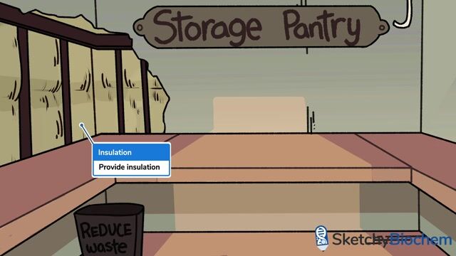 Storage Lipids (Triacylglycerols, Free Fatty Acids, Saponification ...