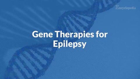 Gene Therapies for Epilepsy | Encyclopedia MDPI