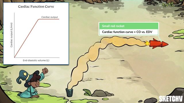 Cardiac & Vascular Function Curves - Free Sketchy Medical Lesson Cardiac & Vascular Function Curves - Free Sketchy Medical Lesson