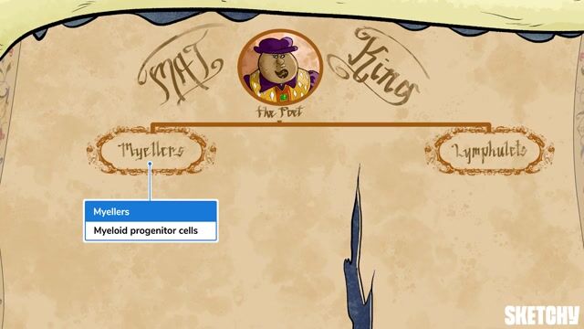 Immune Cell Lineages - Free Sketchy MCAT Lesson