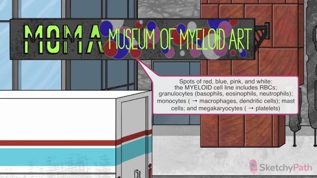 Myeloproliferative Neoplasms & Myelodysplastic Syndromes - Free Sketchy ...