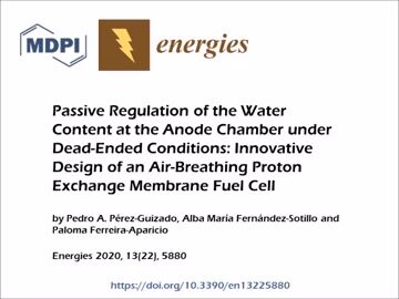 Micro-Fuel Cells | Encyclopedia MDPI