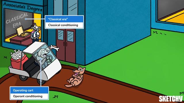 Types of Learning - Free Sketchy MCAT Lesson