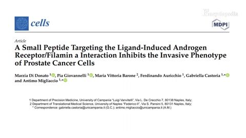 Prostate Cancer Cells | Encyclopedia MDPI