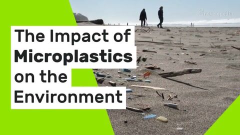 Microplastics in the Environment | Encyclopedia MDPI