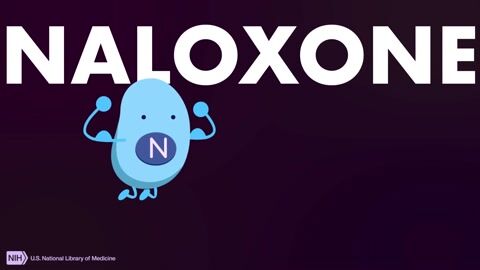 How Naloxone Saves Lives in Opioid Overdose | Encyclopedia MDPI