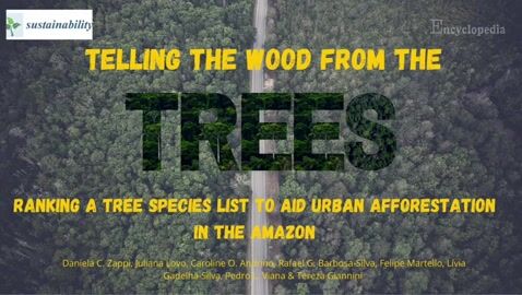 Telling the Wood from the Trees | Encyclopedia MDPI