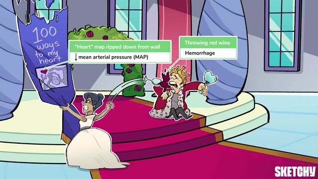 Cardiovascular Response to Hemorrhage - Free Sketchy Medical Lesson