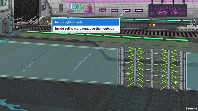 Resting Membrane Potentials - Free Sketchy MCAT Lesson