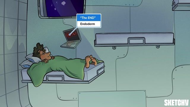 Differentiation and Germ Cell Lineages - Free Sketchy MCAT Lesson