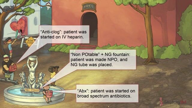 Acute Mesenteric and Colonic Ischemia 2: Management - Free Sketchy ...