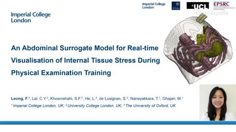 Abdominal Surrogate Model for Realtime Tissue Stress Visualisation | Encyclopedia MDPI