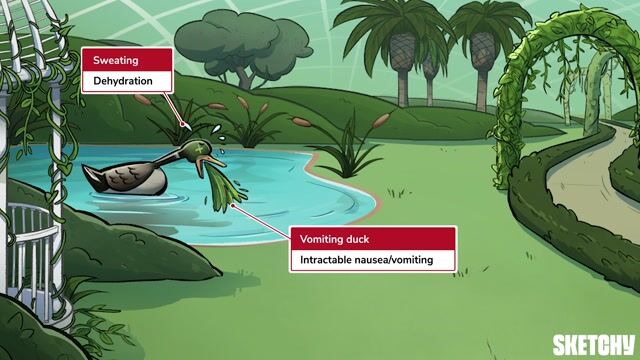 IV Fluid Management - Free Sketchy Medical Lesson