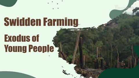 The Future of Swidden Farming in SE Asia | Encyclopedia MDPI