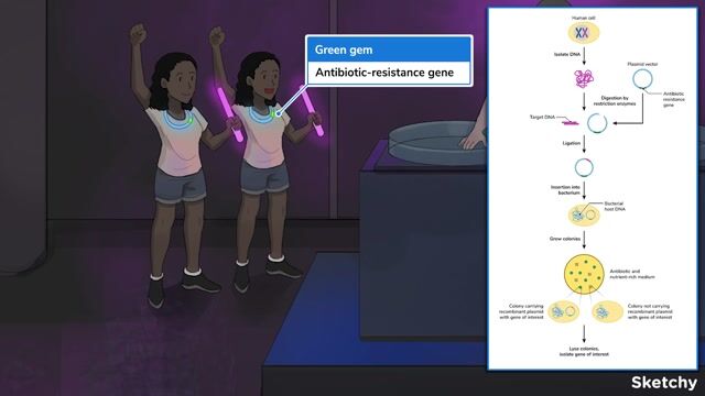 Recombinant DNA (Overview), Molecular Cloning & Polymerase Chain ...