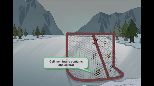 Mycoplasma pneumoniae - Free Sketchy Medical Lesson