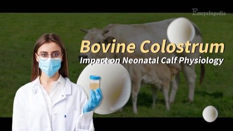 Bovine Colostrum: From Proteins to Microorganisms | Encyclopedia MDPI