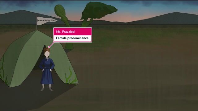 Primary Biliary Cholangitis and Primary Sclerosing Cholangitis - Free ...