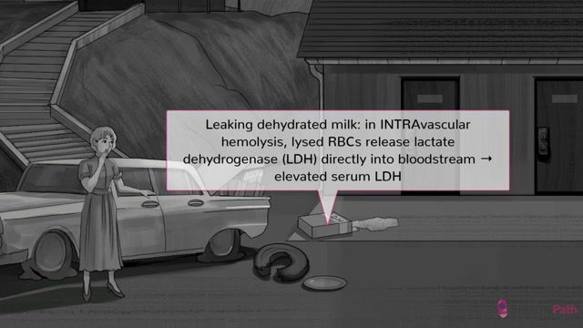 Intravascular Hemolysis: Overiew & Paroxysmal Nocturnal Hemoglobinuria ...
