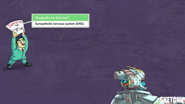 SNS Effects on Organ Systems - Free Sketchy Medical Lesson