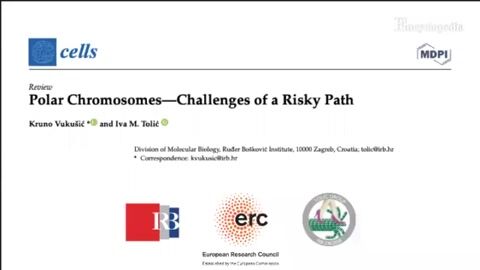 Polar Chromosomes | Encyclopedia MDPI