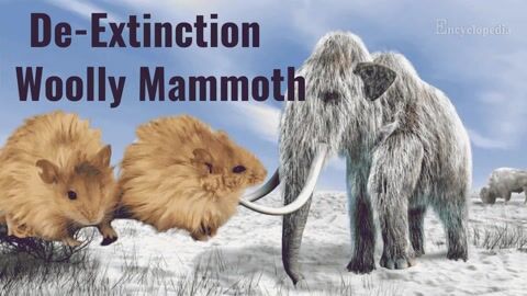 Extinct for 4000 Years? Gene Editing Might Resurrect the Woolly Mammoth ...