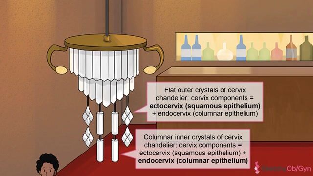 Cervicitis & PID SOAPs - Free Sketchy Medical Lesson