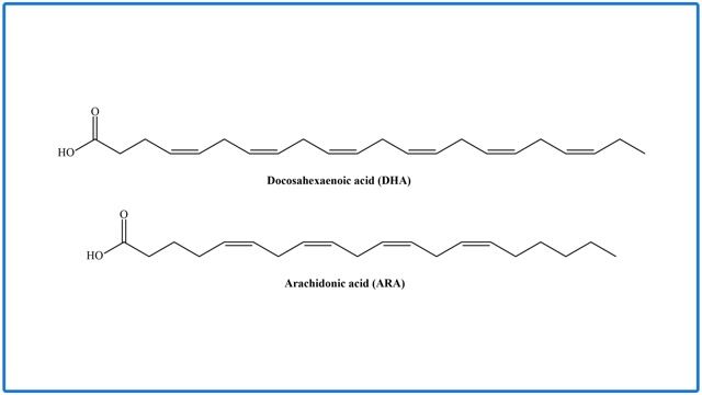 MCAT Walkthrough: Lipid Structure and Function - Passage - Free Sketchy ...