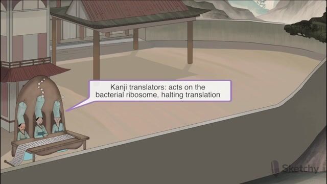 Aminoglycosides - Free Sketchy Medical Lesson