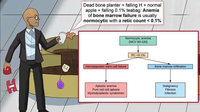 Bone Marrow Failure DDx - Free Sketchy Medical Lesson