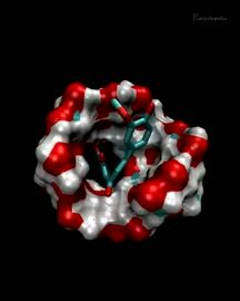 Cyclodextrin-Based Polymers | Encyclopedia MDPI