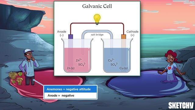 Galvanic Electrochemical Cells - Free Sketchy MCAT Lesson