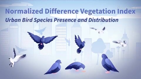 Normalized Difference Vegetation Index: A Proxy of Urban Bird Abundance ...