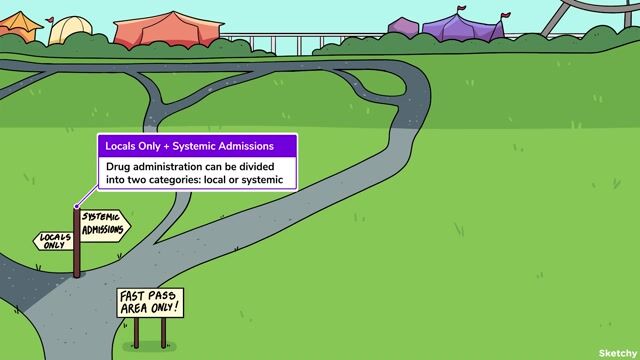 Introduction to Drug Absorption via Parenteral Routes - Free Sketchy ...