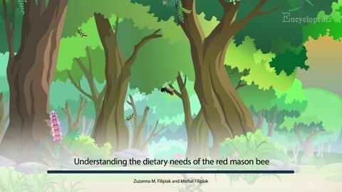 Bee Nutritional Demands | Encyclopedia MDPI