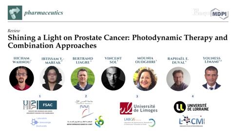 Photodynamic Therapy for Prostate Cancer | Encyclopedia MDPI