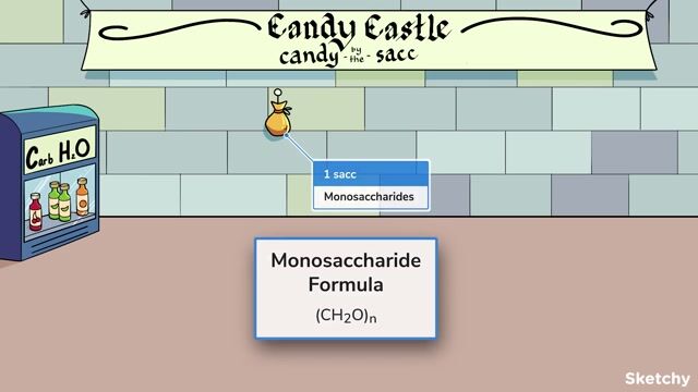 Carbohydrate Classification - Free Sketchy MCAT Lesson