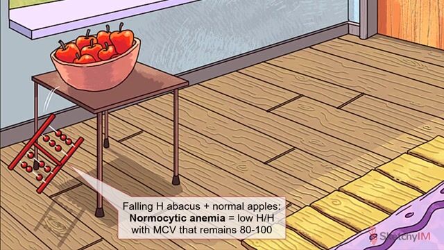 Normocytic Anemia DDx - Free Sketchy Medical Lesson
