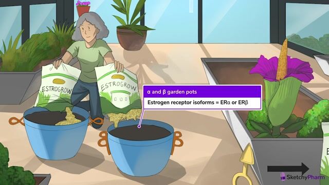 SERMs & Aromatase Inhibitors - Free Sketchy Medical Lesson