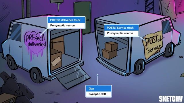 Neurotransmitters - Free Sketchy MCAT Lesson