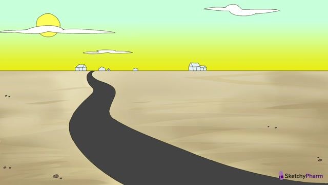 Broad Spectrum Anti-Epileptics - Free Sketchy Medical Lesson