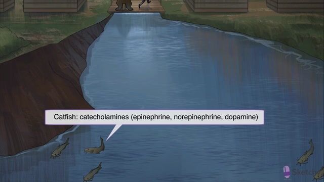 Indirect sympathomimetics - Free Sketchy Medical Lesson