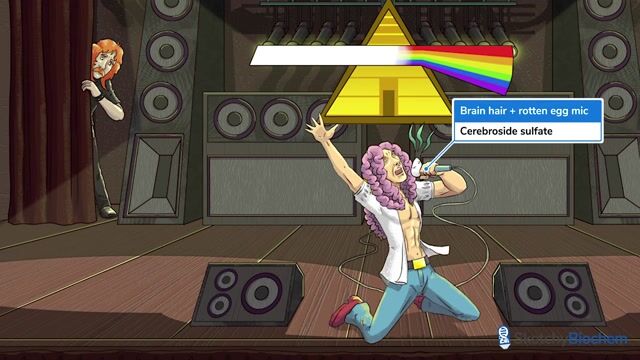 Sphingolipidoses Part 2: Gaucher Disease, Metachromatic Leukodystrophy ...