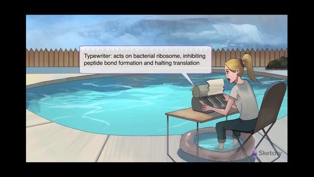 Chloramphenicol - Free Sketchy Medical Lesson