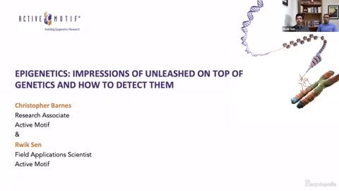 High-Throughput Epigenetics Research Technology | Encyclopedia MDPI